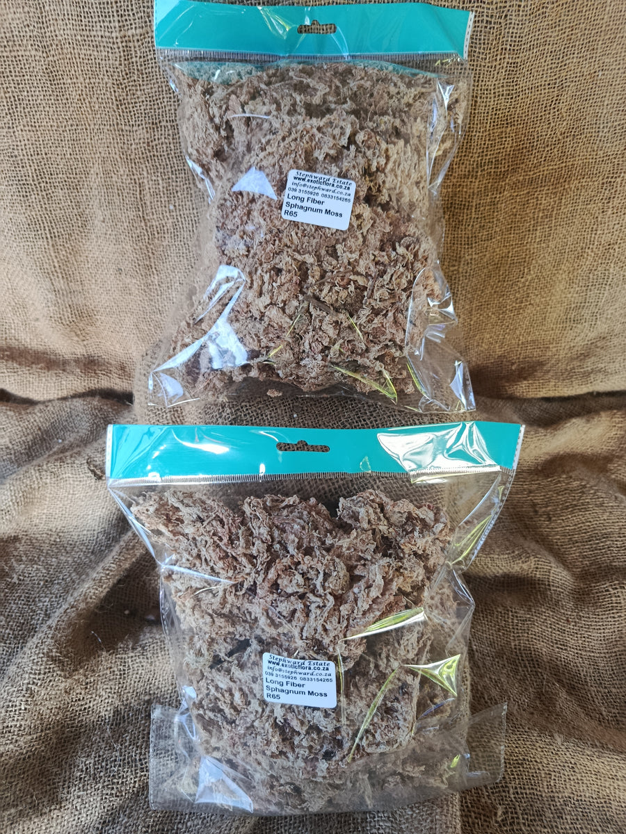 Sphagnum Moss Long Fiber – Exotic Flora